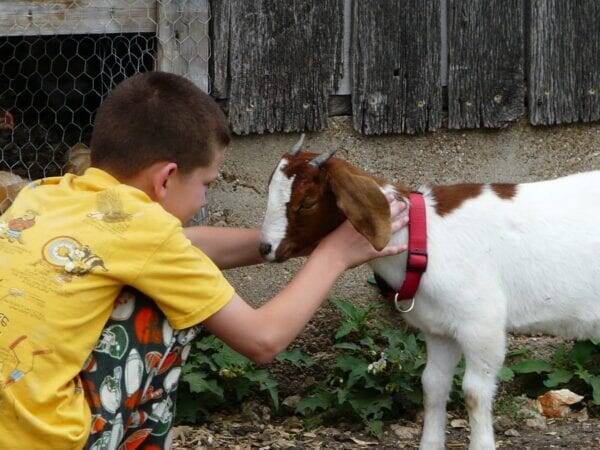Everyday Farm Tour The Everyday Farmhouse