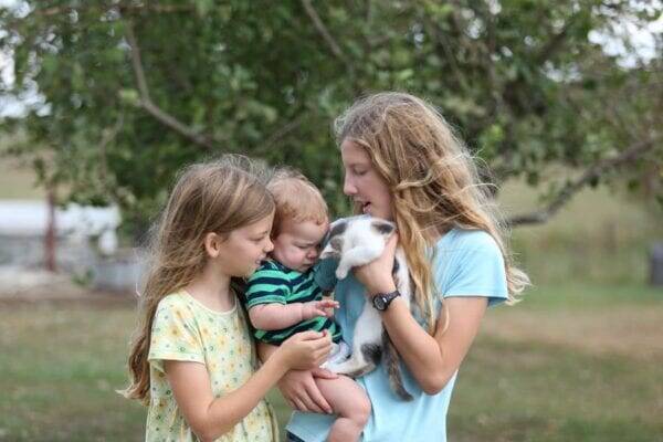 Everyday Farm Tour The Everyday Farmhouse