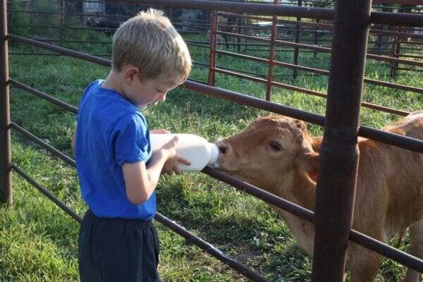 Everyday Farm Tour The Everyday Farmhouse
