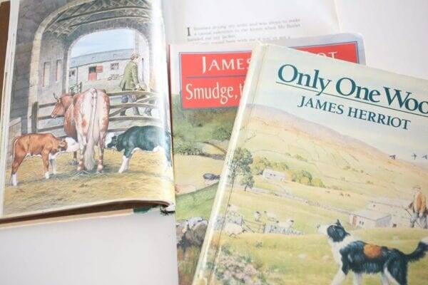 A list of 50 excellent childrens picture books for introducing History