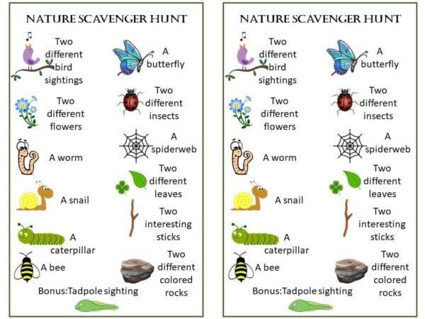 Nature Inspired Scavenger Hunt - The Everyday Farmhouse
