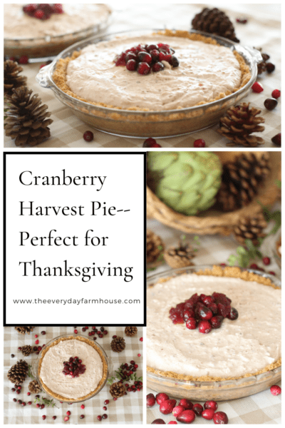 Cranberry Harvest Pie--Perfect for the Holidays The Everyday Farmhouse