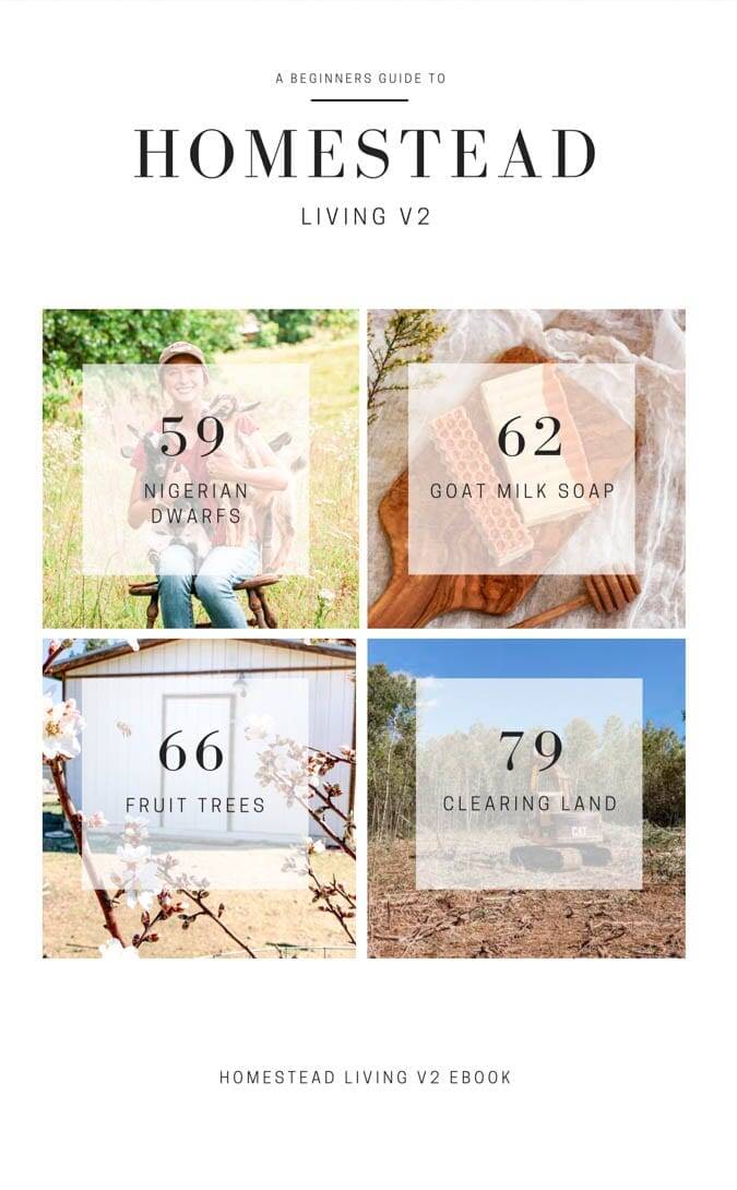 The Beginner's Guide to Homestead Living Volume 2 Now Available!! - The ...
