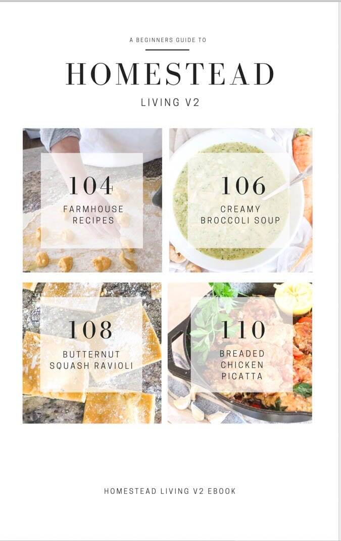 The Beginner's Guide to Homestead Living Volume 2 Now Available!! - The ...