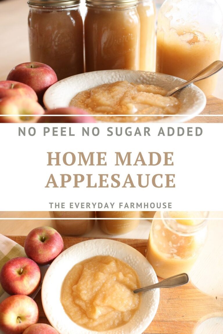 Easy No Peel No Sugar Applesauce - The Everyday Farmhouse