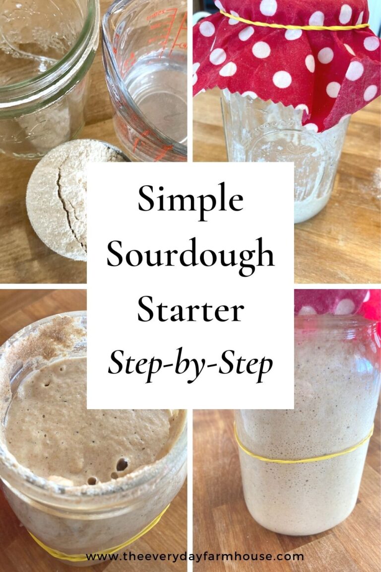 Sourdough Starter Recipe | Simple Easy Sourdough Starter Step by Step ...