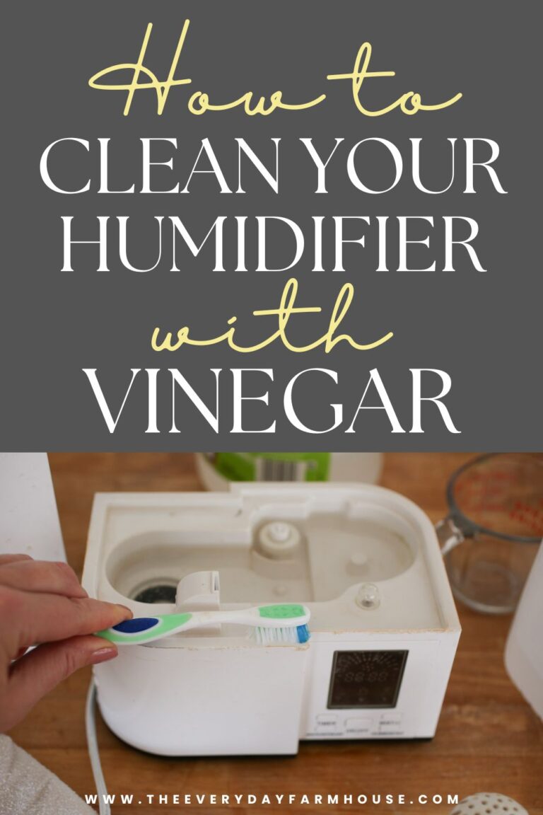 How to Clean a Humidifier with Vinegar | Step-by-Step - The Everyday ...