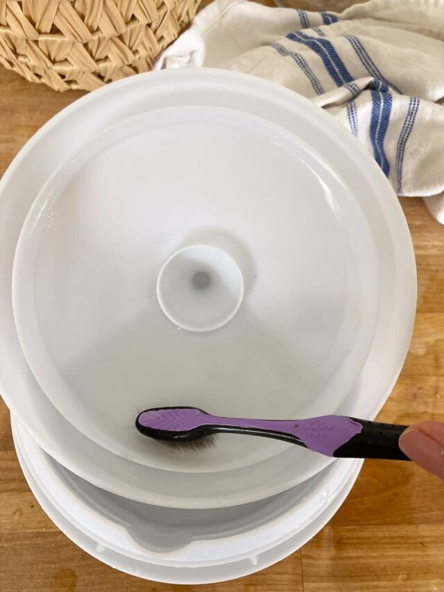 How to Clean a Diffuser | Properly Clean an Essential Oil Diffuser ...