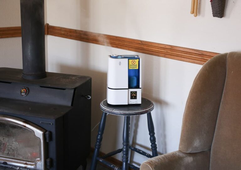 How to Clean a Humidifier with Vinegar | Step-by-Step - The Everyday ...