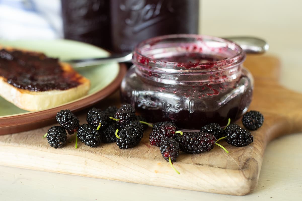 Homemade Mulberry Jelly Recipe - The Everyday Farmhouse