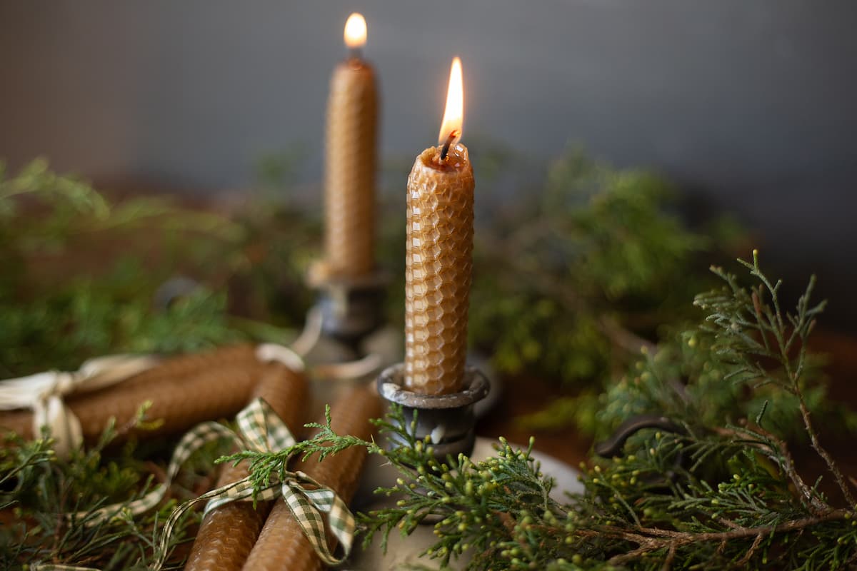 How to Make Rolled Beeswax Candles: A Simple Project - The Everyday ...