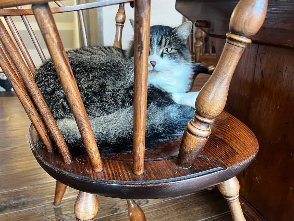 Colonial Dining Room Inspiration: Timeless Elegance for Your Home - The ...