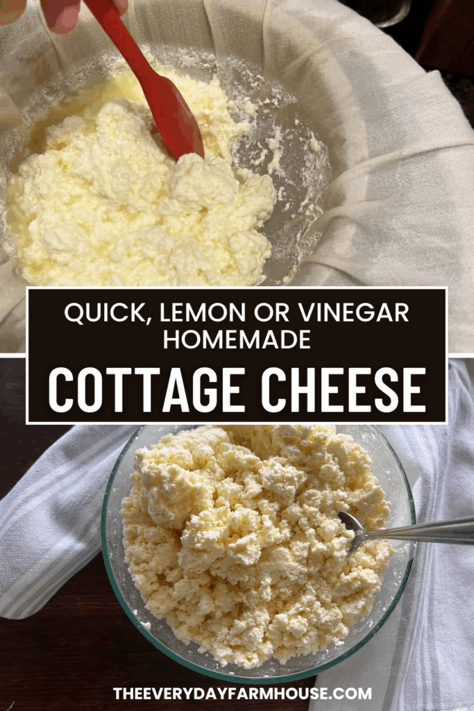 Quick Homemade Cottage Cheese Recipe (No Rennet Needed) - The Everyday ...