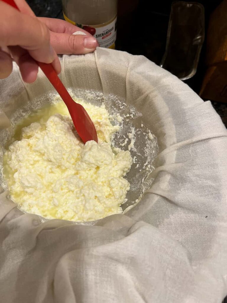 Quick Homemade Cottage Cheese Recipe (No Rennet Needed) - The Everyday ...